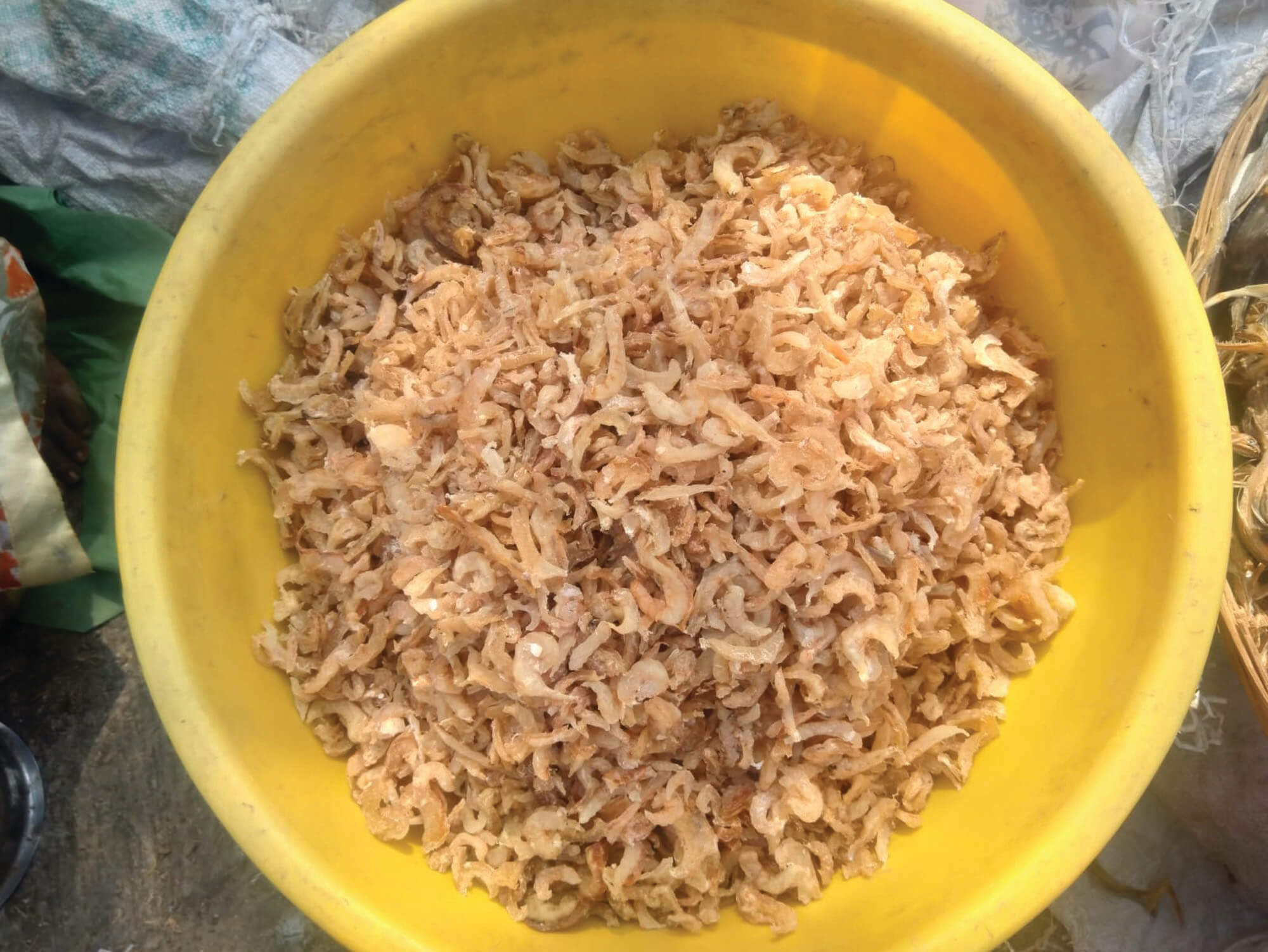 ‘सुके कोळंबी सोडे रस्सा’ आता फक्त श्रीमंतासाठी - Krushival