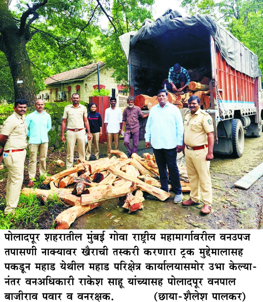 पोलादपूरमध्ये खैराच्या झाडाची तस्करी रोखली - Krushival